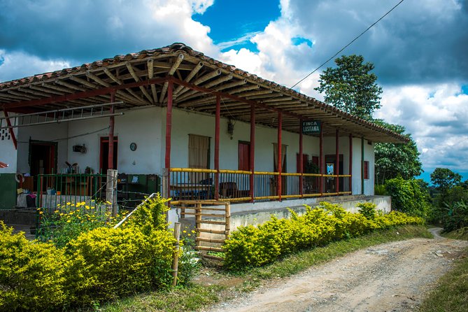 Coffee Tour. - Highlights of the Coffee Tour