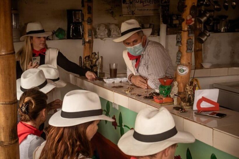 Coffee Tour from Medellin with Lunch and Coffee Tasting - The Sum Up