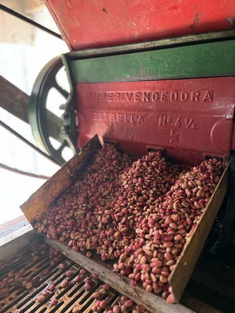 Coffee Tour in Garden Antioquia - From Medellín - Key Moments of the Tour