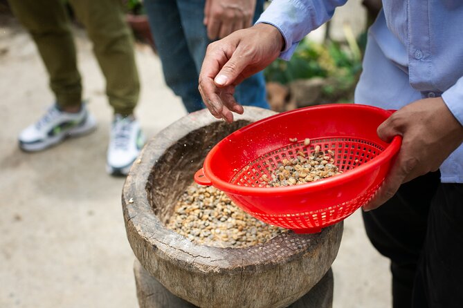 Coffee Tour With Arrival on Horseback and Sugar Cane Processing - Hands-on Coffee Bean Picking