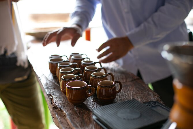 Coffee Tour With Arrival on Horseback and Sugar Cane Processing - Unique Cultural and Educational Highlights
