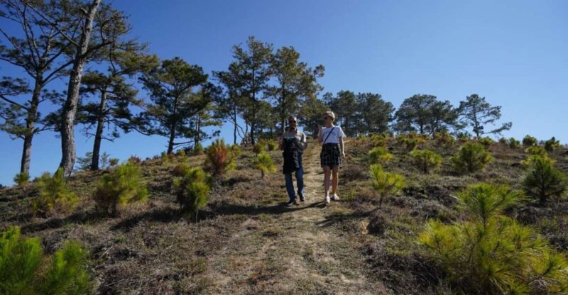 Coffee - Wine - Tea Da Lat's Agricultural Treasures Tour - Value and Practicalities