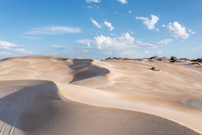 Coffin Bay National Park Half-day 4WD Tour - Key Points