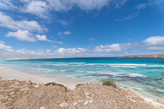 Coffin Bay National Park Half-day 4WD Tour - Who Is This Tour Best For?