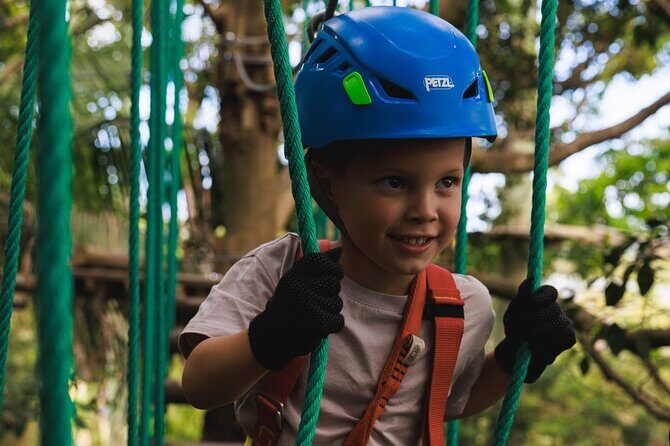 Coffs Harbour Climbing & Junior Ropes Course - The Experience: What Families Are Saying