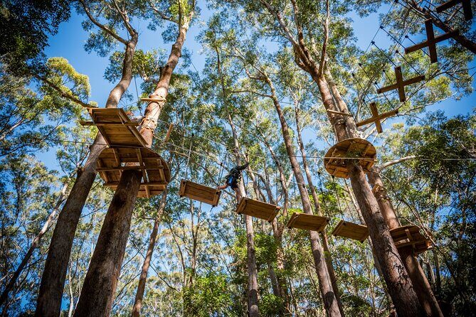 Coffs Harbour Climbing & Junior Ropes Course - Who Is This Experience Best For?