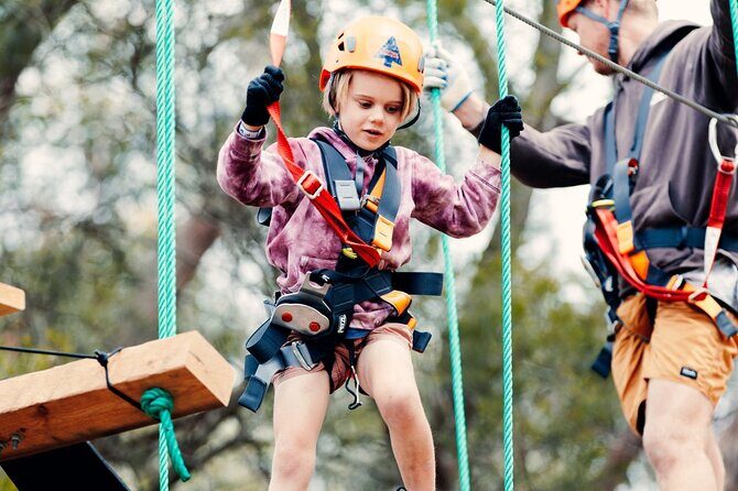 Coffs Harbour Climbing & Junior Ropes Course - In The Sum Up