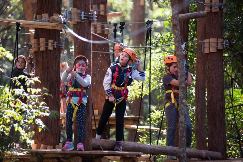 Coffs Harbour: Junior Tree Ropes Course - The Sum Up