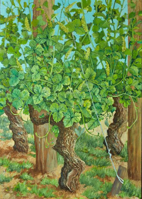 Cognac: 3-Hour Private Painting with Artist Jeanne Maze - The Itinerary: What to Expect