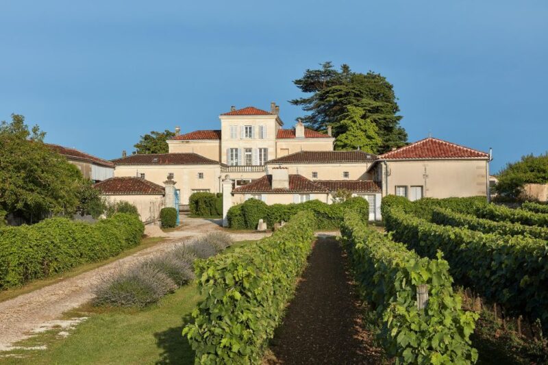 Cognac: 3-Hour Private Painting with Artist Jeanne Maze - Authentic Perspectives from Visitors