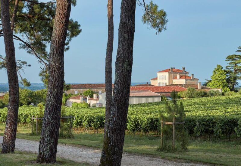 Cognac: 3-Hour Private Painting with Artist Jeanne Maze - Final Thoughts