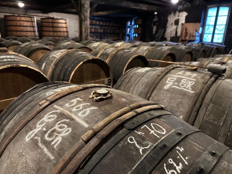 Cognac: Private Tour from Bordeaux - Who Should Consider This Tour?