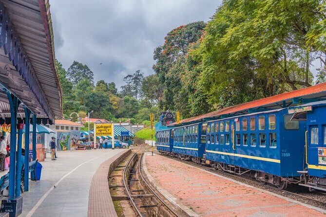 Coimbatore to Ooty- transfers+Hotel+Sightseeing - An In-Depth Look at the Itinerary and Experience