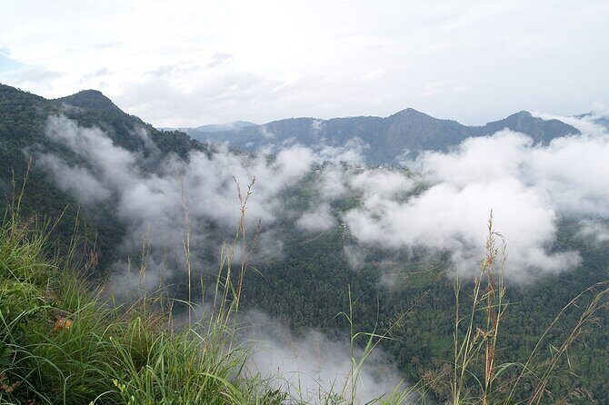 Coimbatore to Ooty- transfers+Hotel+Sightseeing - Final Thoughts