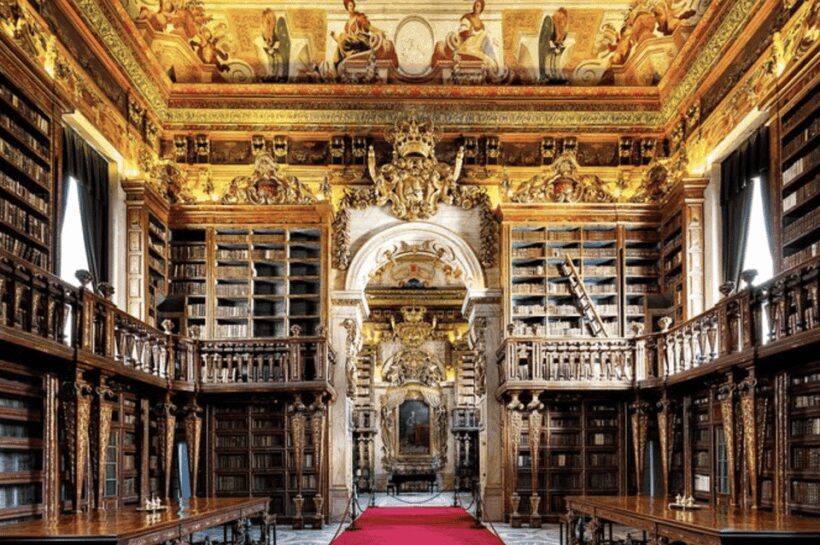 Coimbra: A Local's Tour of the University + Skip-the-Line - Pricing and Value