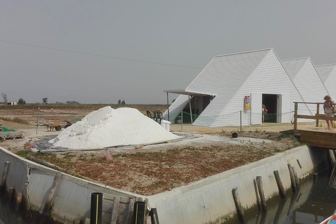 Coimbra and Aveiro Full-Day Private Tour from Lisbon - Final Thoughts