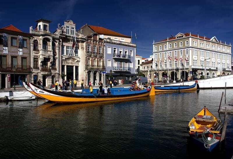 Coimbra & Aveiro Experience: From Porto All-Included - A Perfect Mix of Scenery and Culture