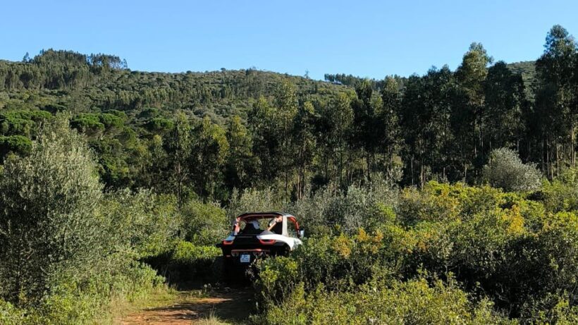 Coimbra - Condeixa: Off-road Buggy Adventure 240min - Why This Tour Might Be Perfect for You