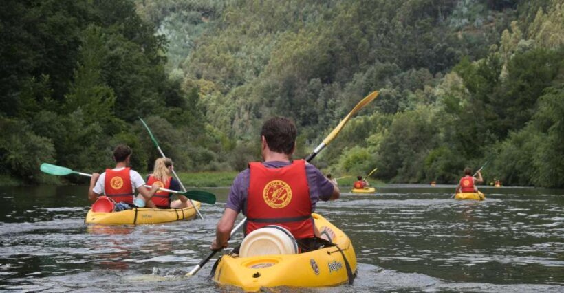 Coimbra: Mondego River Kayaking Tour - An In-depth Look at the Coimbra Mondego River Kayaking Tour