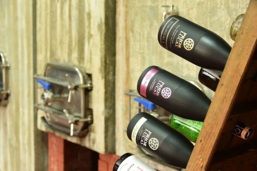 Coimbra: Prior Lucas Wine Experience - Coimbra: Prior Lucas Wine Experience — A Deep Dive into Portugals Bairrada Wines