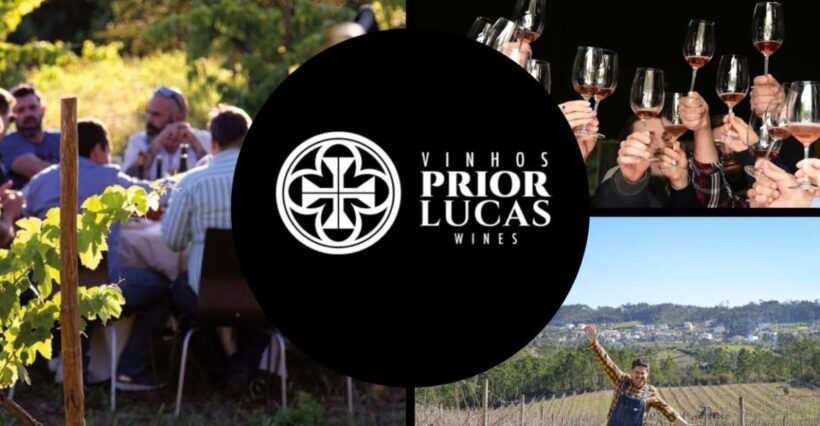 Coimbra: Prior Lucas Wine Experience - The Winery and the Winemaking Process