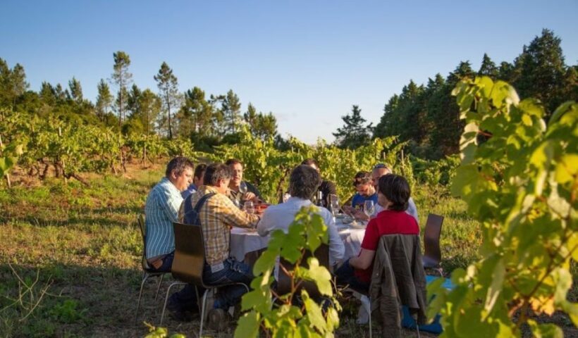 Coimbra: Prior Lucas Wine Experience - The Experience Duration and Group Size