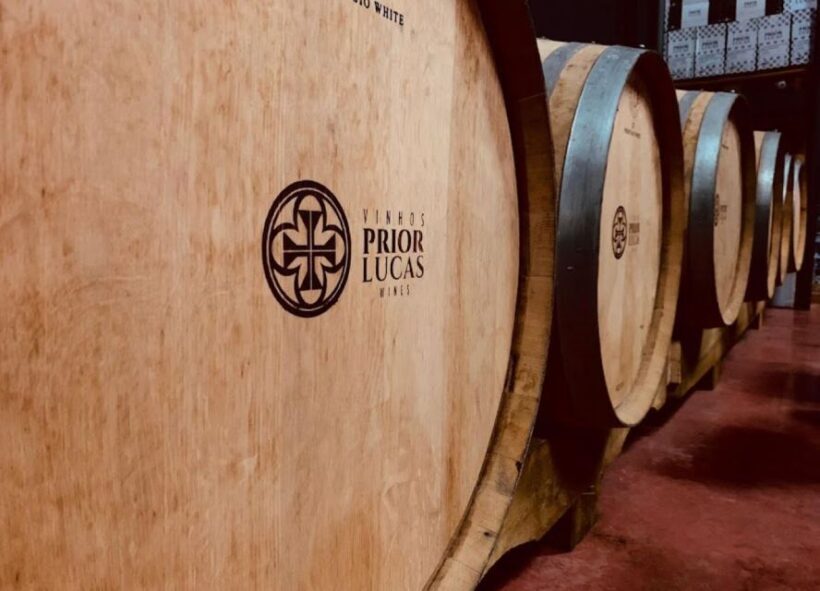 Coimbra: Prior Lucas Wine Experience - Assessing the Value