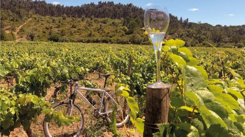 Coimbra: Prior Lucas Wine Experience - FAQs About the Prior Lucas Wine Experience