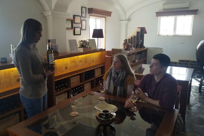 Coimbra Private Tour - Key Points