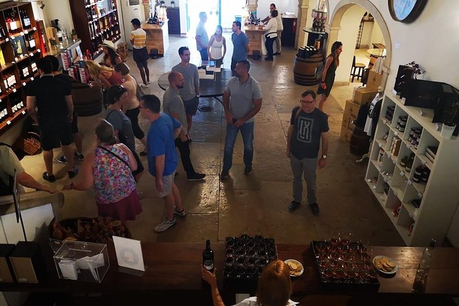 Coimbra Private Tour - Who Will Love This Tour?