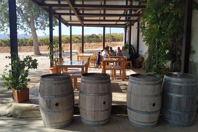 Coimbra Private Tour - The Sum Up: Is It Worth It?