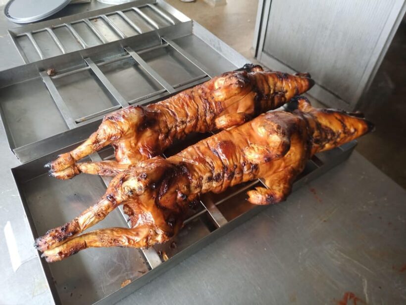 Coimbra: Rota da Bairrada gastronomic tour - A Closer Look at the Itinerary and What to Expect