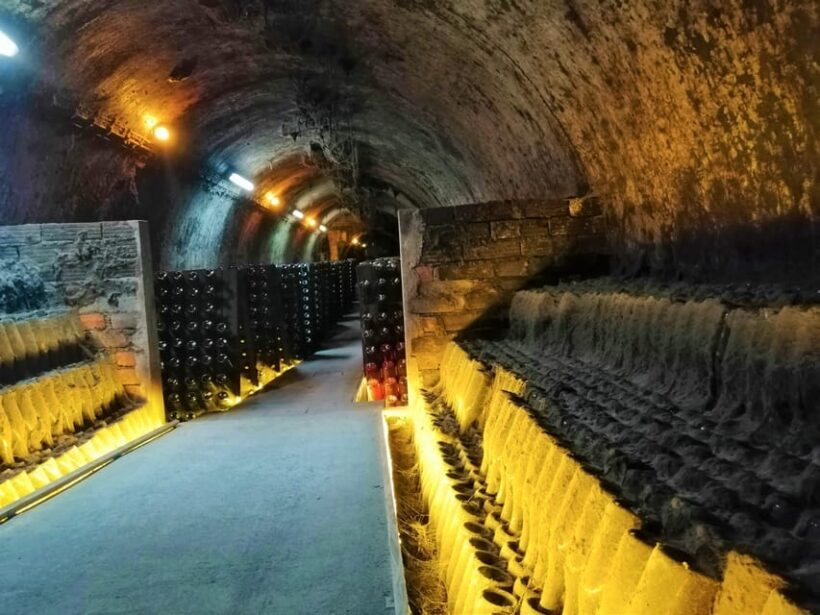 Coimbra: Rota da Bairrada gastronomic tour - Who Will Appreciate This Tour?