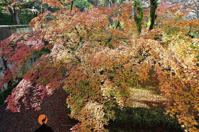 Coimbra Tour Review: A Must-Experience Adventure - Discovering the University of Coimbra