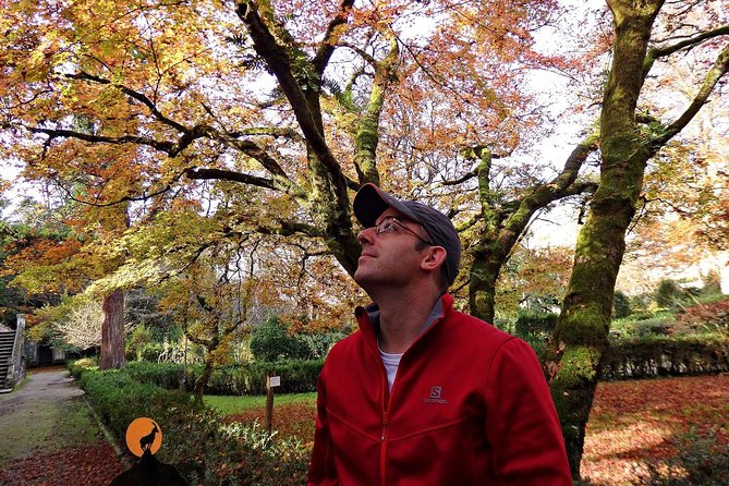 Coimbra Tour Review: A Must-Experience Adventure - Experiencing the Unique Local Culture