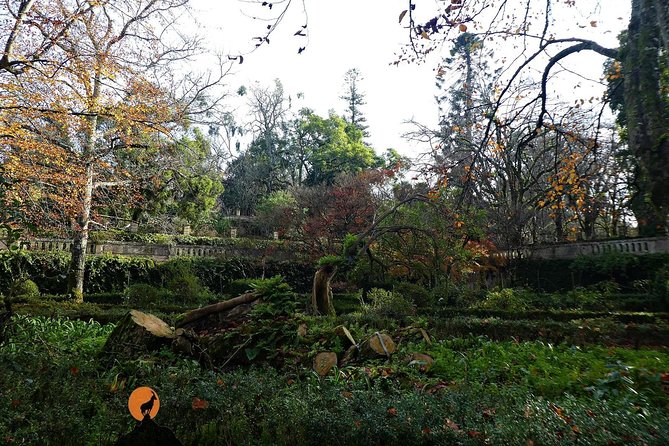 Coimbra Tour Review: A Must-Experience Adventure - Preparing for Your Coimbra Adventure