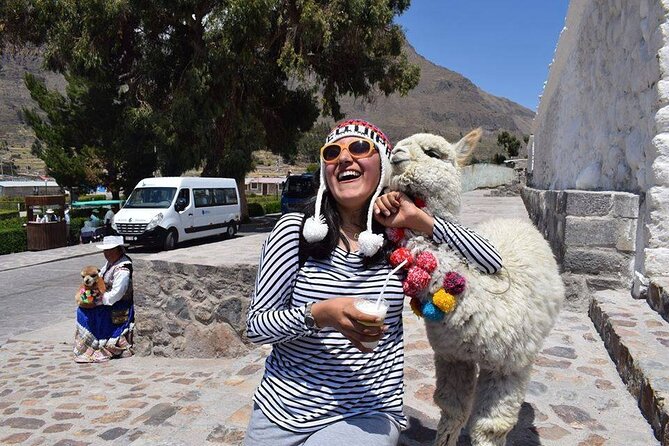Colca Full Day - Travel Considerations for the Tour