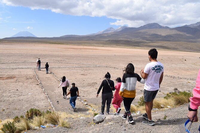 Colca Full Day - Guest Feedback and Tour Improvements