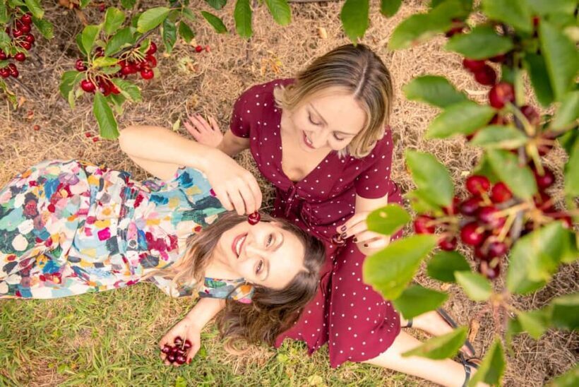 Coldstream: Cherry-Picking Experience - What to Expect on the Day