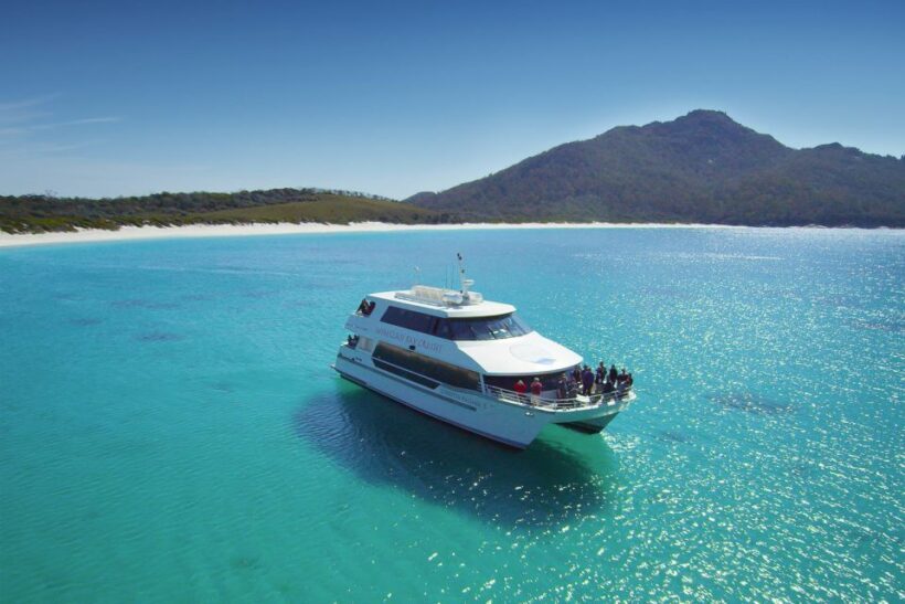 Coles Bay: Wineglass Bay Adults-Only Cruise with Lunch - Wildlife Encounters and Scenic Highlights