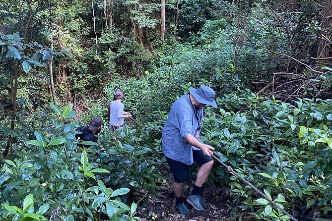 Cole's Cave Spelunking Adventure - Who Should Consider This Tour