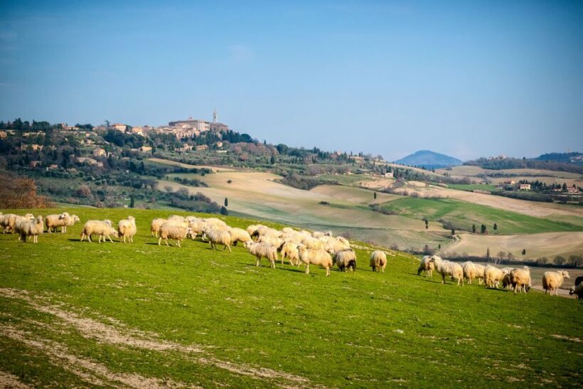 Colle Val d'Elsa and Volterra Full-Day Tour - Discover the Charm of Tuscany: A Review of the Colle Val dElsa and Volterra Full-Day Tour