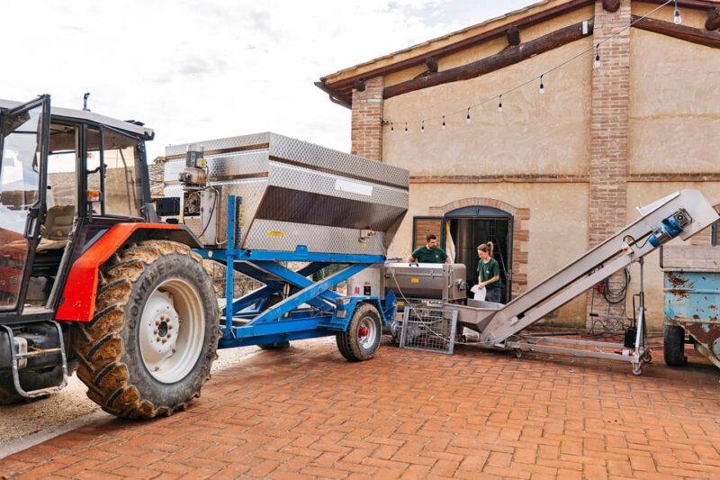 Colle Val d'Elsa: tour and a tasting of an authentic farm - What Makes This Tour Stand Out?