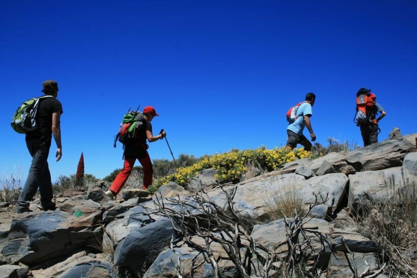 Collective Adventure: Travel & Volunteer in Tenerife - An Introduction to the Tenerife Volunteer Adventure