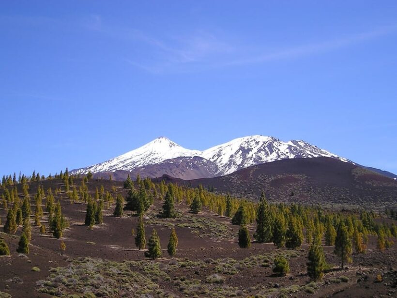 Collective Adventure: Travel & Volunteer in Tenerife - The Experience’s Value: Breaking Down the Cost