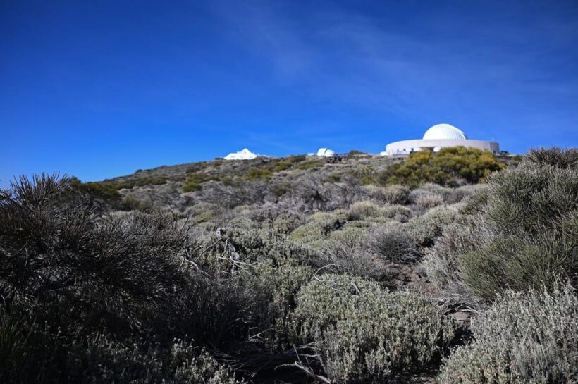 Collective Adventure: Travel & Volunteer in Tenerife - Final Thoughts: Who Should Sign Up?