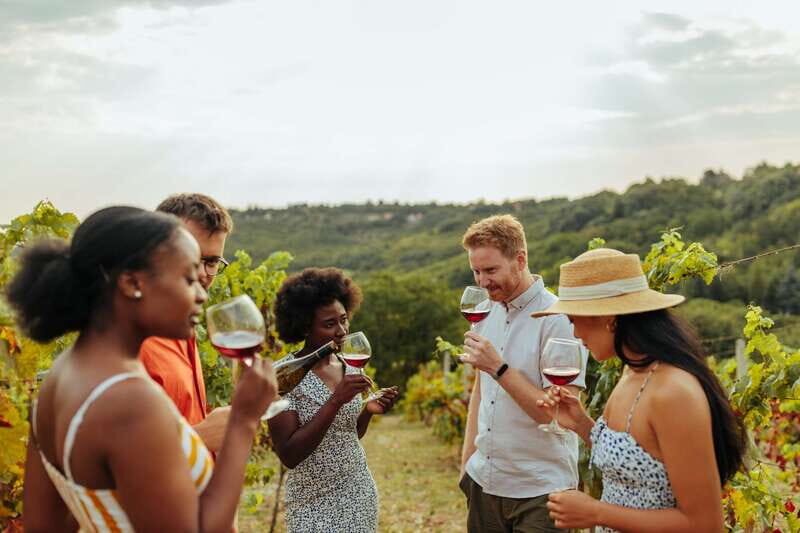 Collingwood: Blue Mountains Wine and Cider Tasting Tour - A Closer Look at the Blue Mountains Wine and Cider Tasting Tour