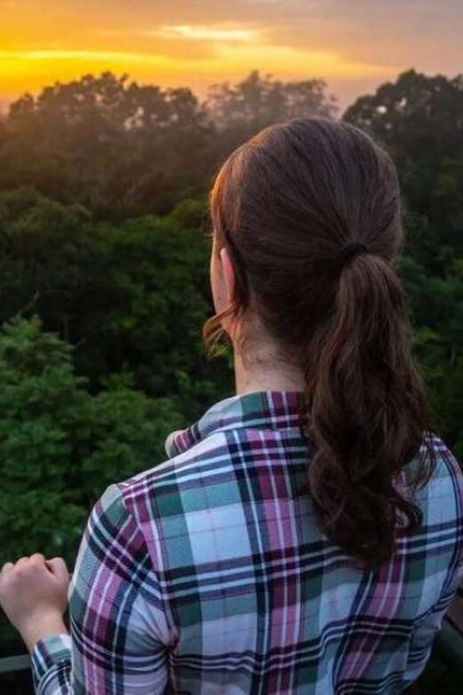 Collpa Guacamayo 2D Excursion | Jungle sunset | - Overview of the Tour Experience