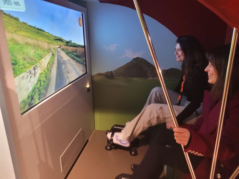 Colmar: Alsace Wine Museum Entrance Ticket - Exploring Wine Production and Appellation