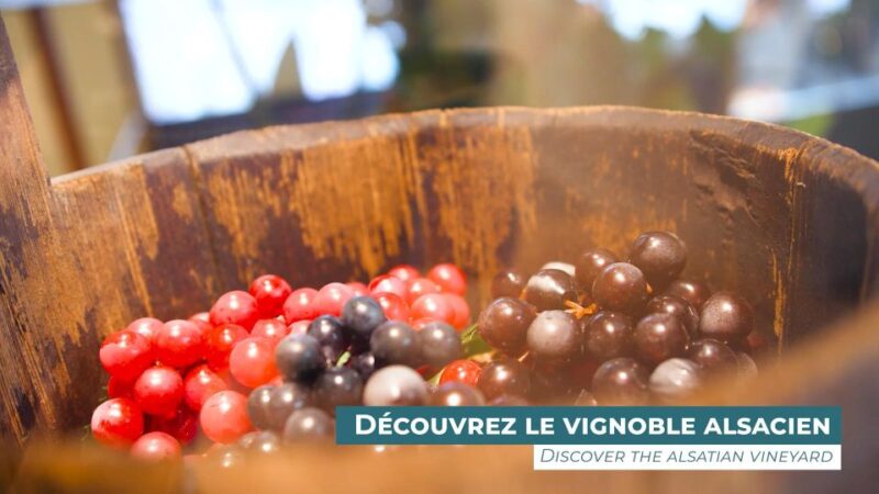 Colmar: Alsace Wine Museum Entrance Ticket - Wine and Juice Tastings